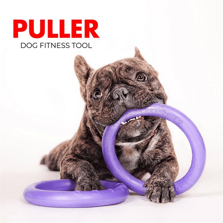 PULLER is an innovative dog fitness tool that consists of 2 ring ...